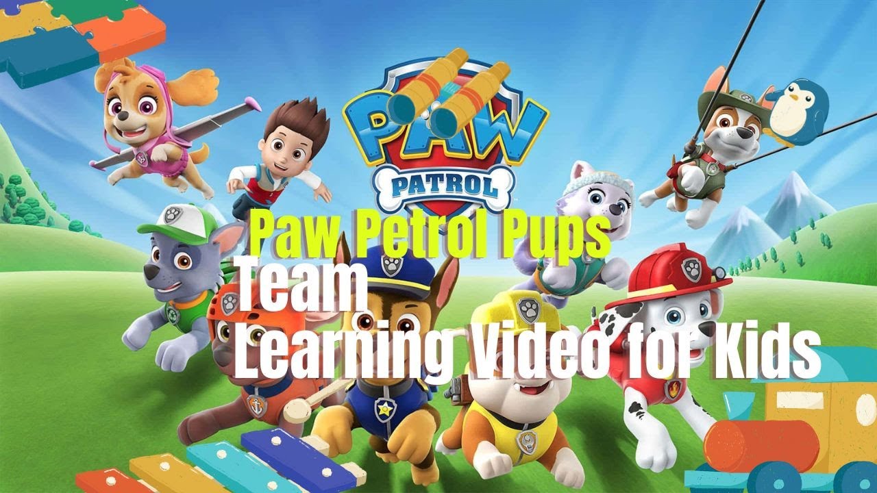 Paw Patrol Toy Learning Video for Kids || Pups are on the roll # ...