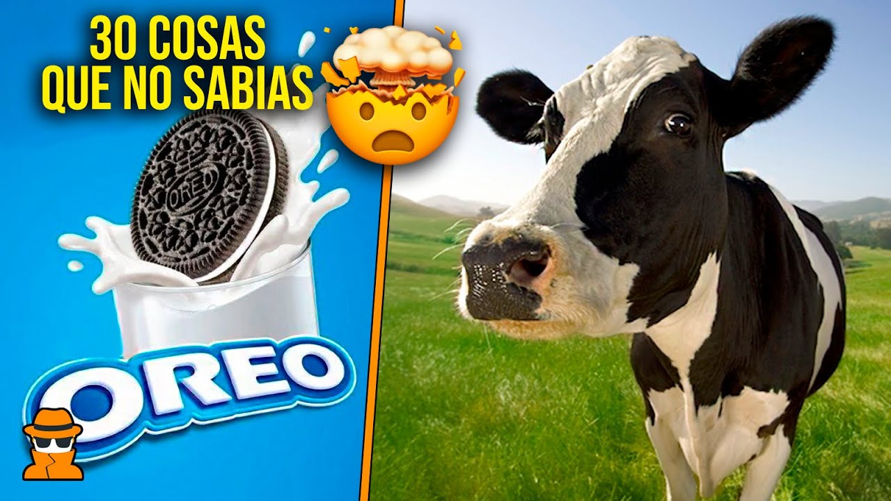 30 Cosas Que No Sabias Hace 5 Minutos #81 - YouTube