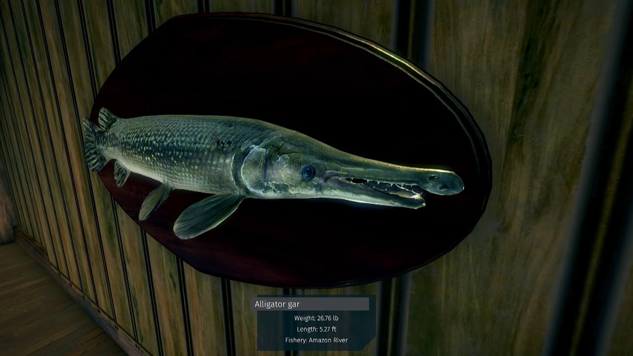 Alligator Gar Amazon River Ultimate Fishing Simulator Gameplay 2020 4K ...