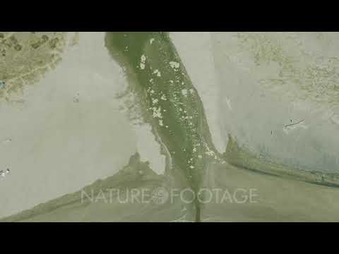 NatureFootage Stock Video