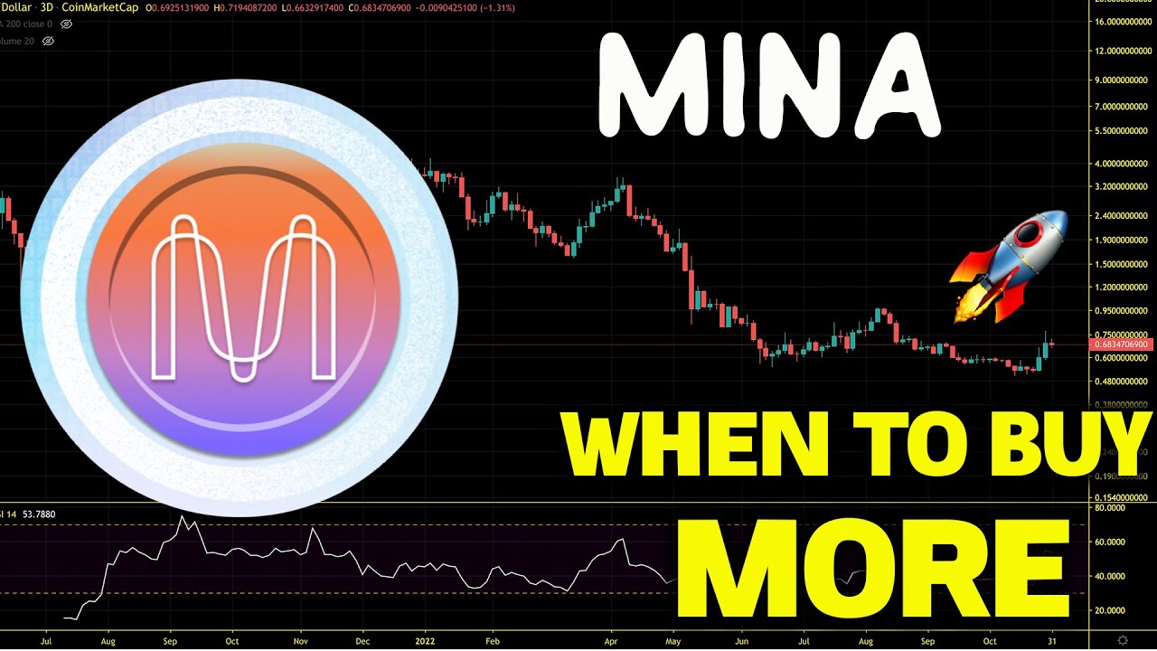 Mina Protocol Bear Market Strategy. MINA Chart Analysis And Price ...