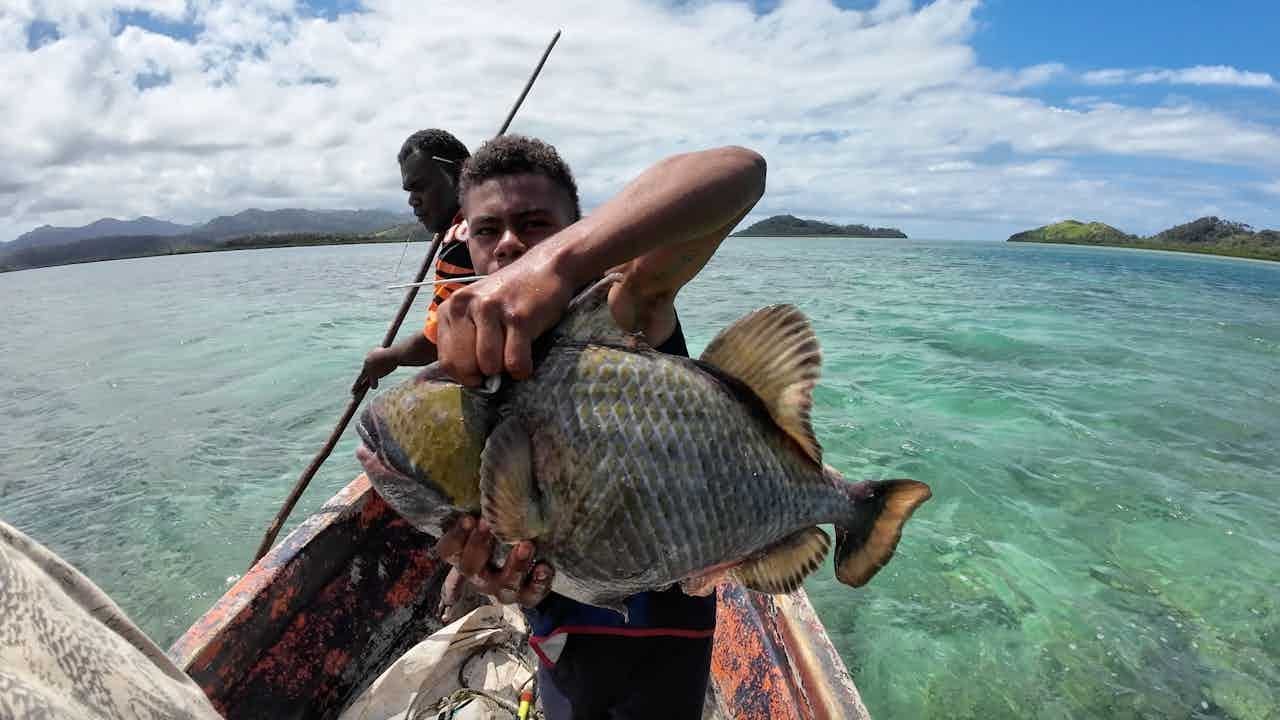 Fishing during High Tide With The Village Boys (Qoli Samusamu) (Catch ...
