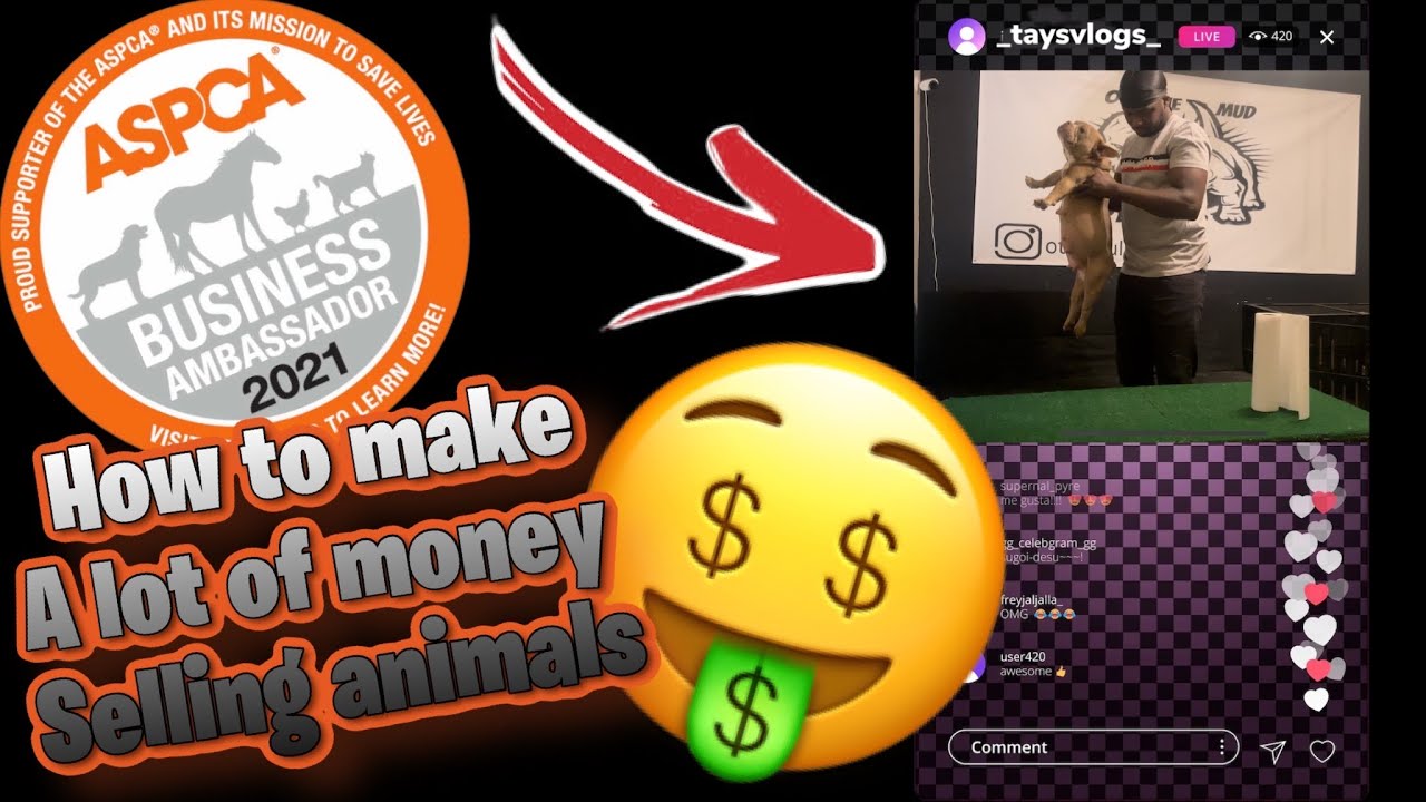 HOW TO GET SOME MONEY SELLING 🐶🐱🐝🦏🐎🐪’s - YouTube