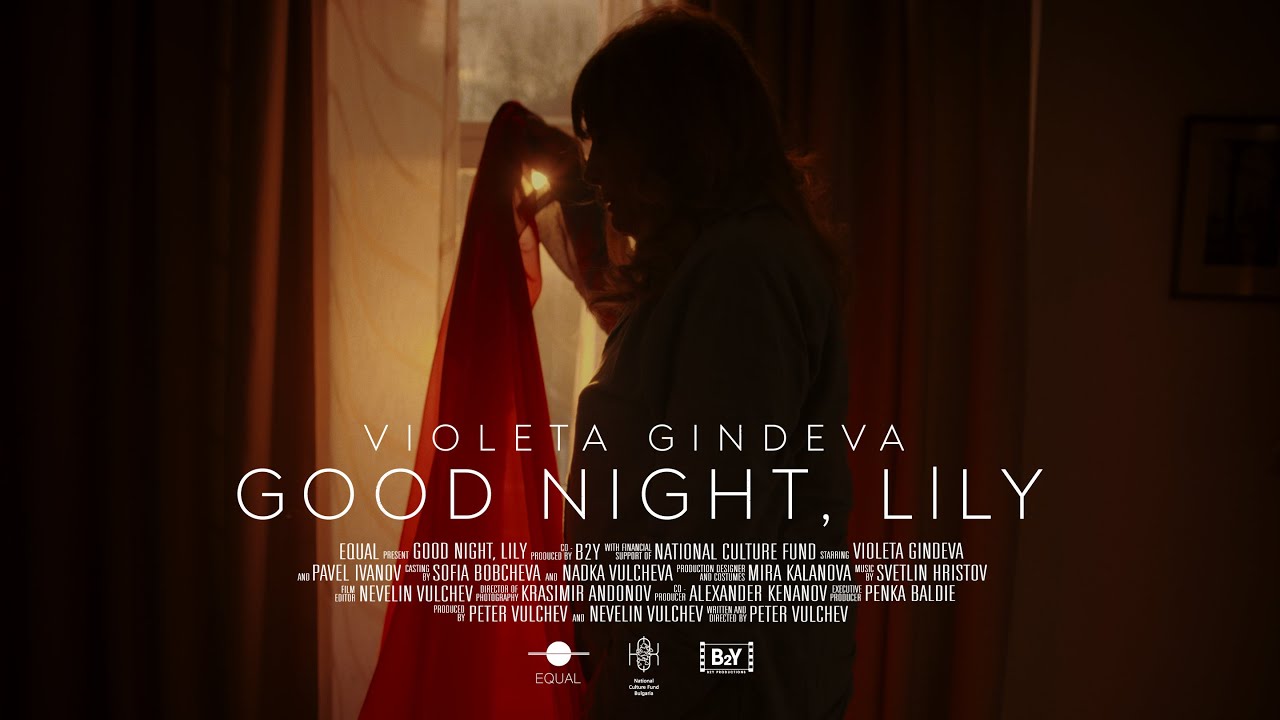 Dora and Adam's first dance (Official Video) | Good Night, Lily ...