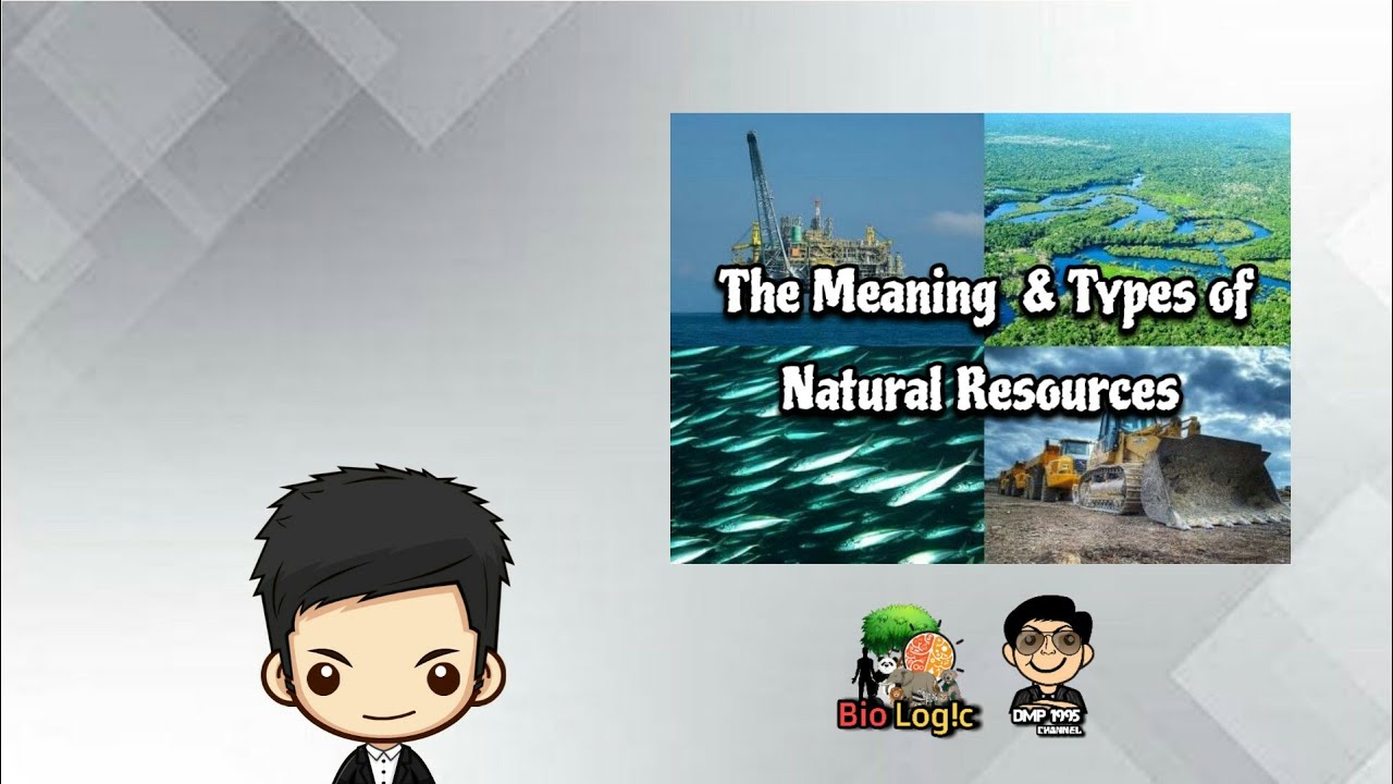 The Meaning & Types of Natural Resources - Bio Log!c - YouTube