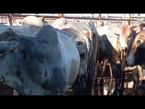 aqui o sistema é bruto.se vivem um dia de cada vez.