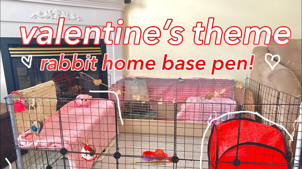 valentine’s day rabbit enclosure makeover!! // haul, cage cleaning ...