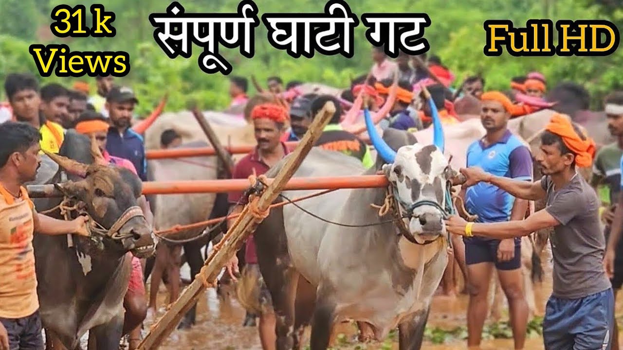 हसोंळ कोंड नांगरणी स्पर्धा 2023 | संपूर्ण घाटी गट | HD Vedio | Hasol Nangarni spardha | SOHAM ...