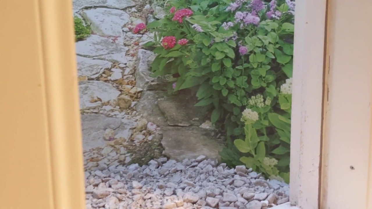 Example of an Installed Window Well Picture Scene - YouTube