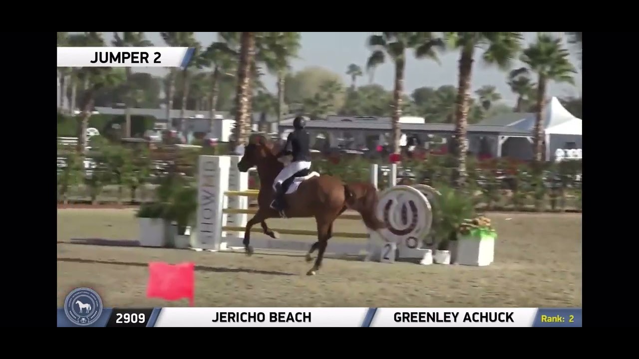 1.25M Junior Jumper Classic - YouTube