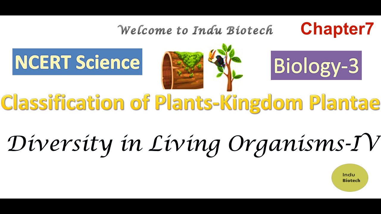 Classification of Kingdom Plantae-Diversity In Living Organisms-IV ...