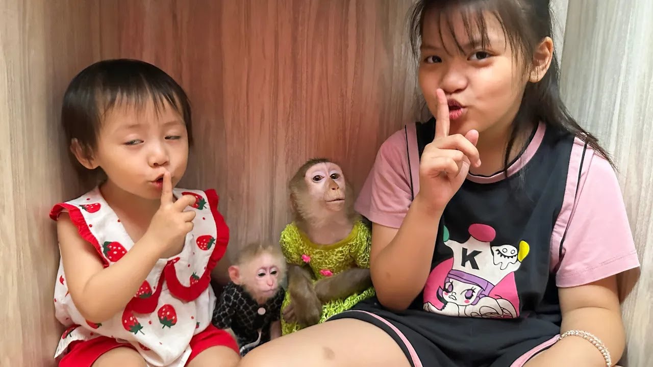 Quynh and Diem and Monkey Kaka + Monkey Mit play hide in the closet ...