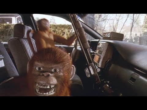 Jumanji [1995] Monkeys Screen Time