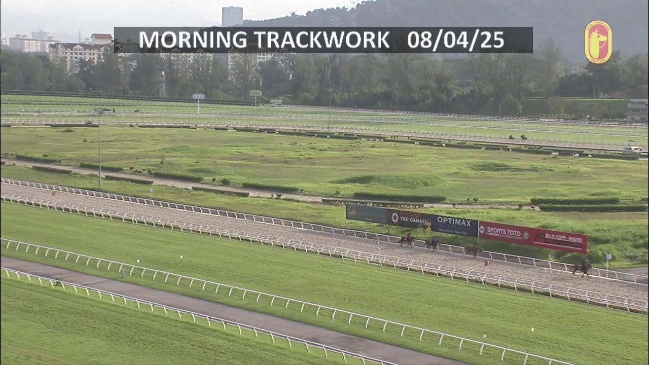 Track Work - Cam 1 (08/04/2025) - YouTube