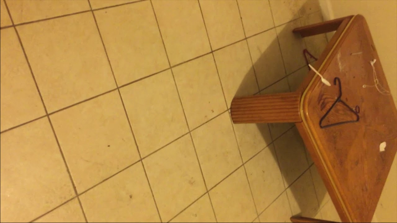 NASTY SECTION 8 GHETTO APARTMENT - YouTube