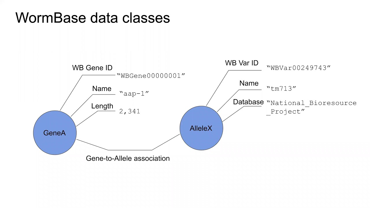 WormBase Webinar #4: WormMine - YouTube