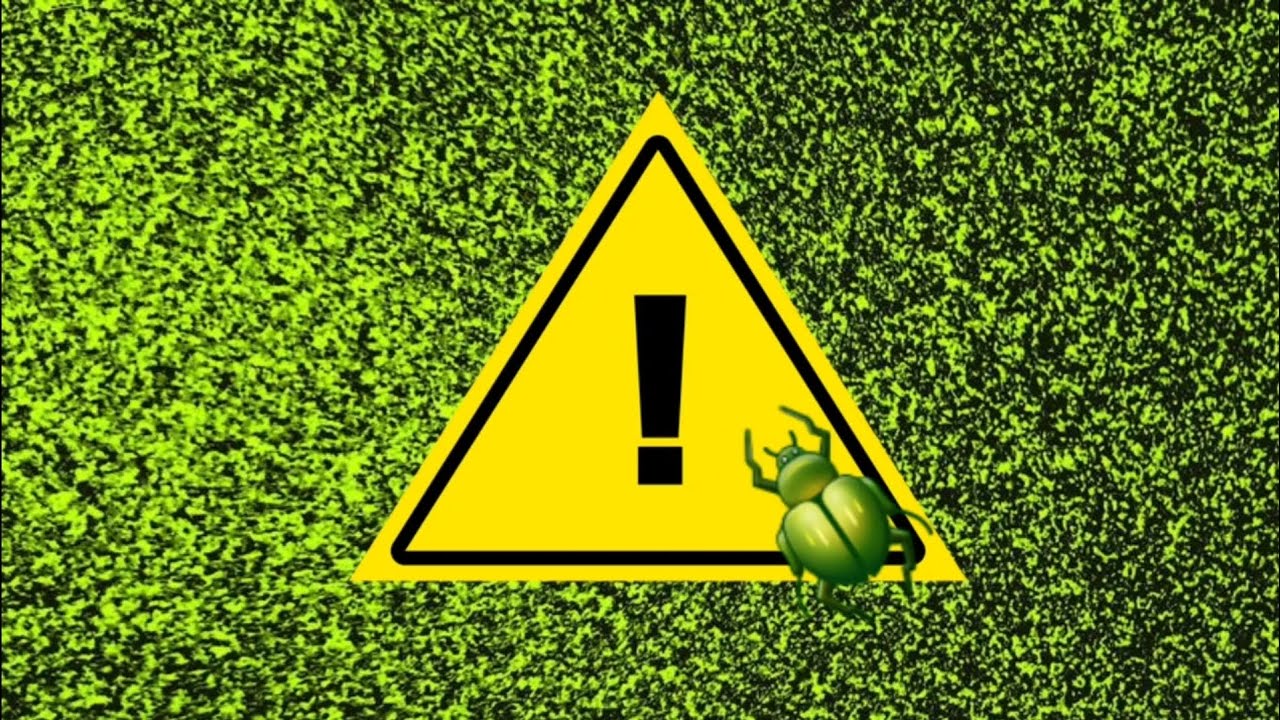 This Lab Video Is Infected... With Bugs? - Yeeps Infestation Update ...