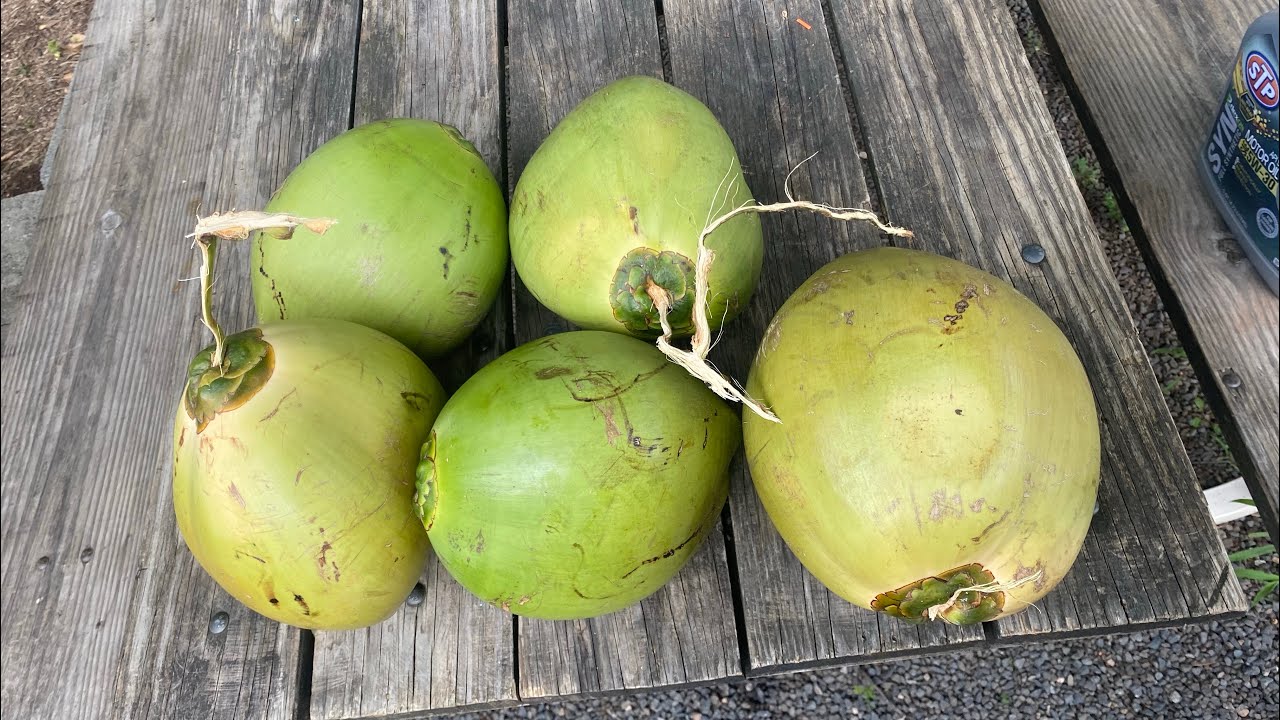 Pelando coco (Estilo Salvadoreño) - YouTube