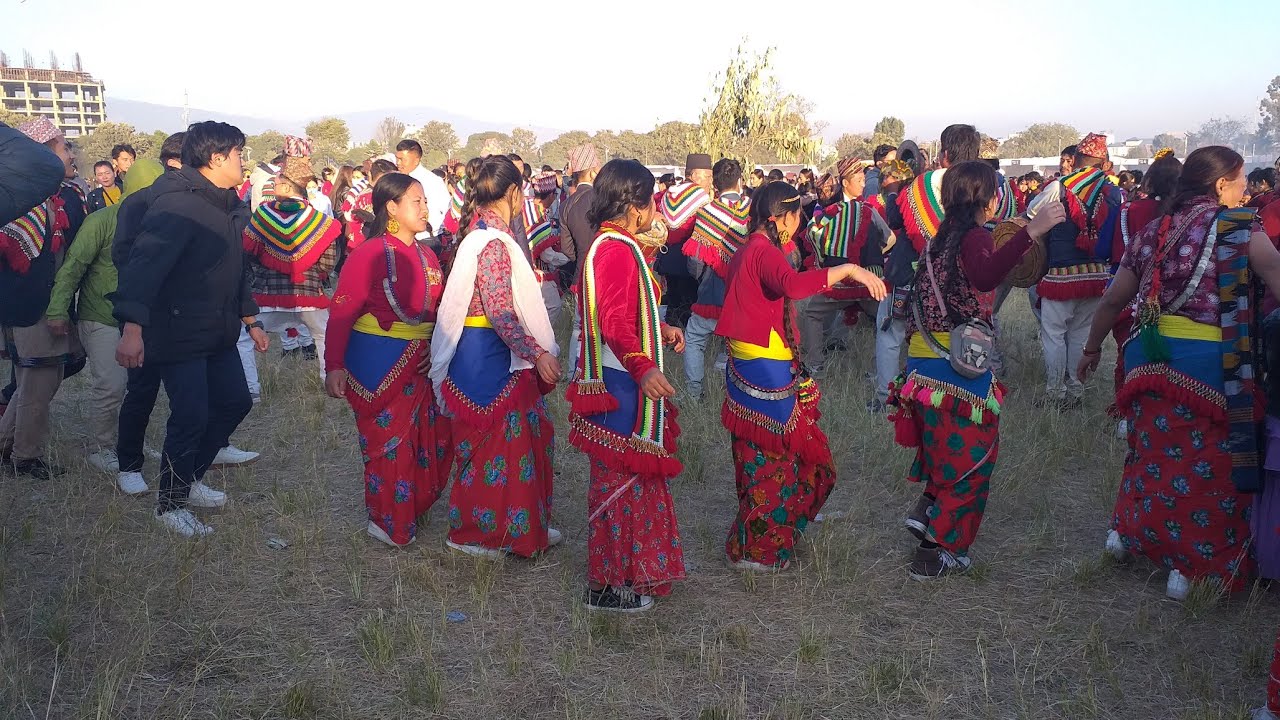 उँधौली पर्व २०७९ | SAKELA SILI DANCE 2022 KATHMANDU🇳🇵 | KIRAT RAI ...