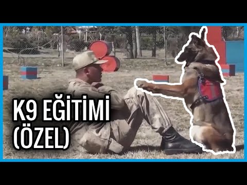 K9 Eğitimi - Polis Köpeği Eğitimi Nasıl Yapılıyor ? - TÜRKİYE (Videolardan Kesitler) #2