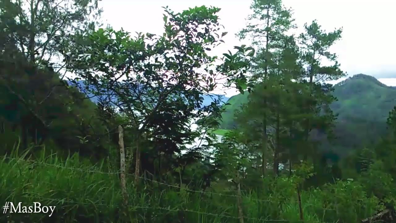 Wisata burtelege aceh tengah - YouTube