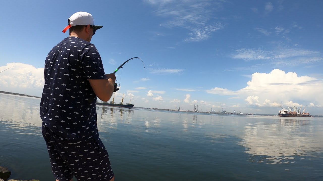 Stavrid după stavrid la Marea Neagră 🐟 - YouTube