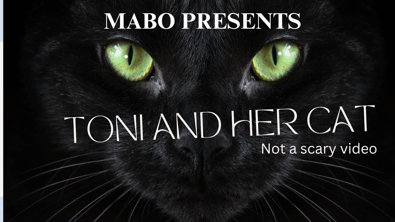 Toni and her cat (169) - YouTube