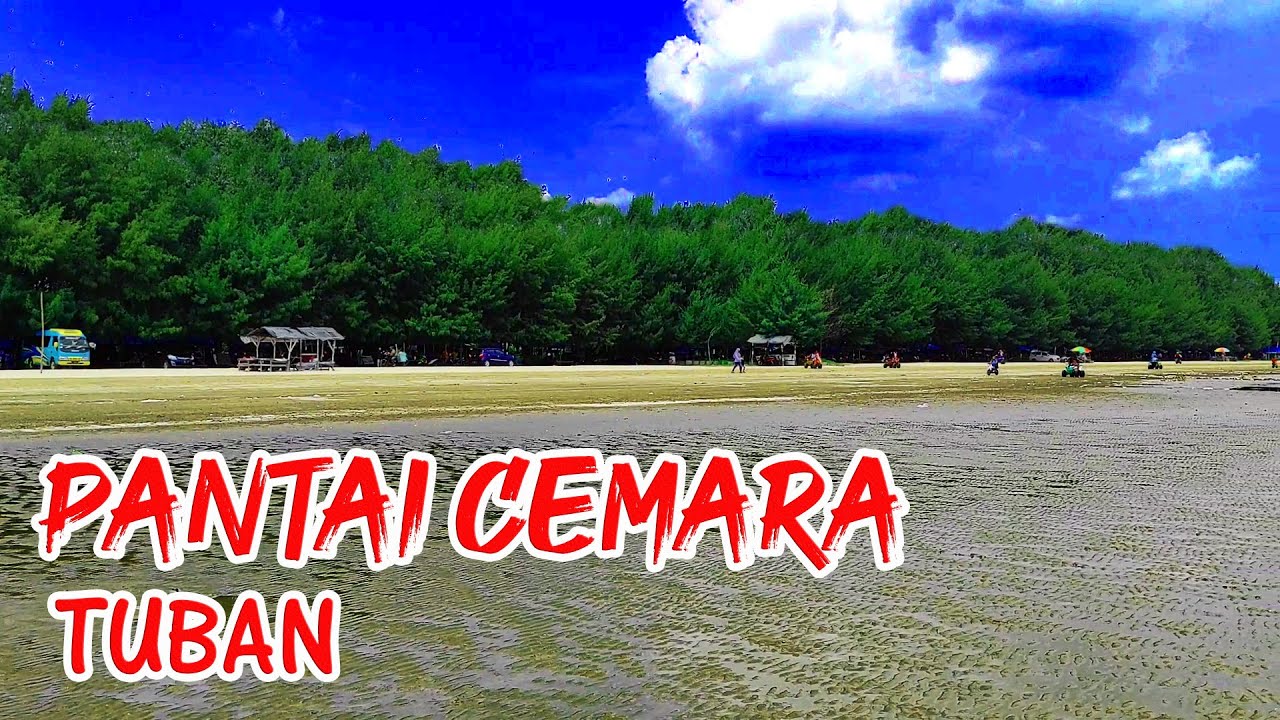 PANTAI CEMARA TUBAN || WISATA HITS TUBAN JAWA TIMUR - YouTube