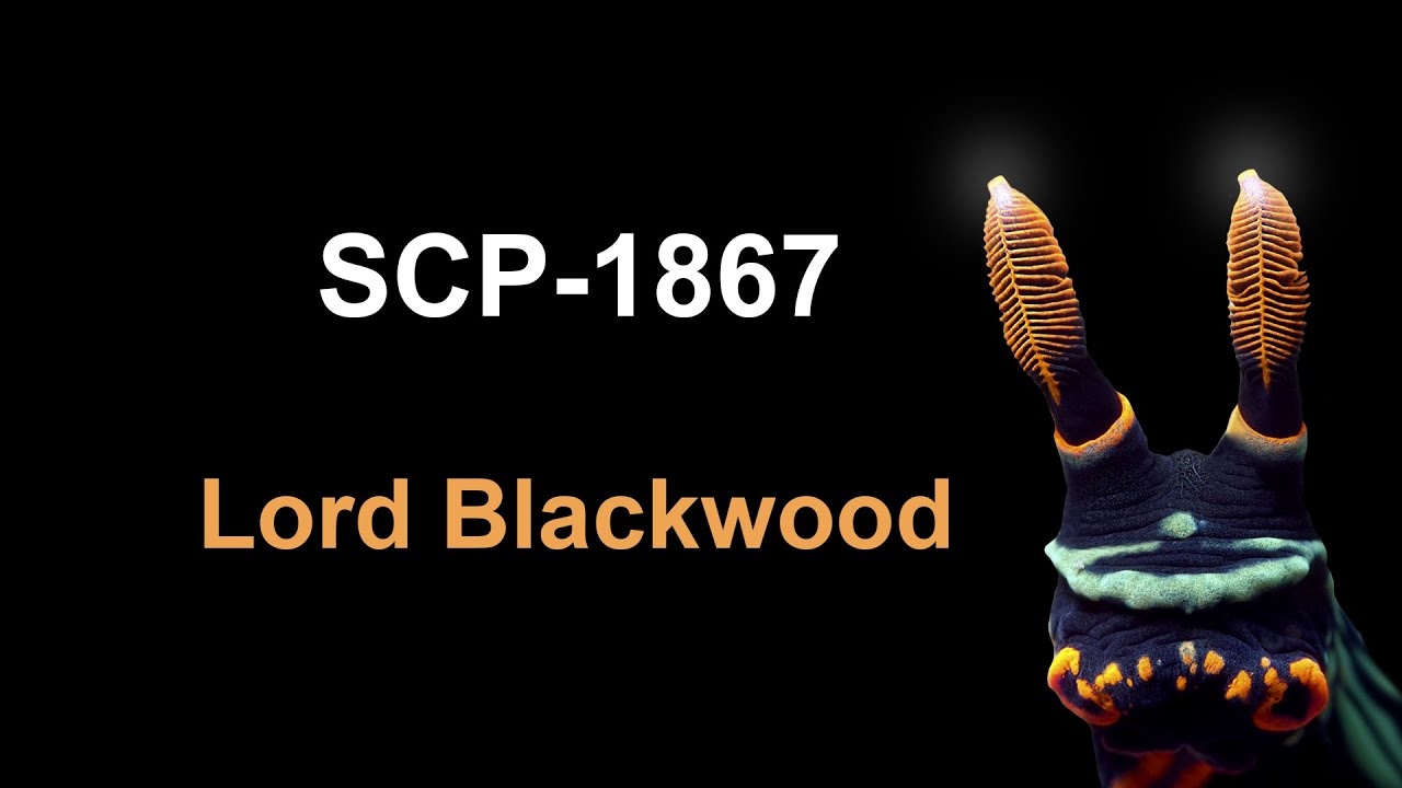 SCP-1867 Lord Blackwood - YouTube