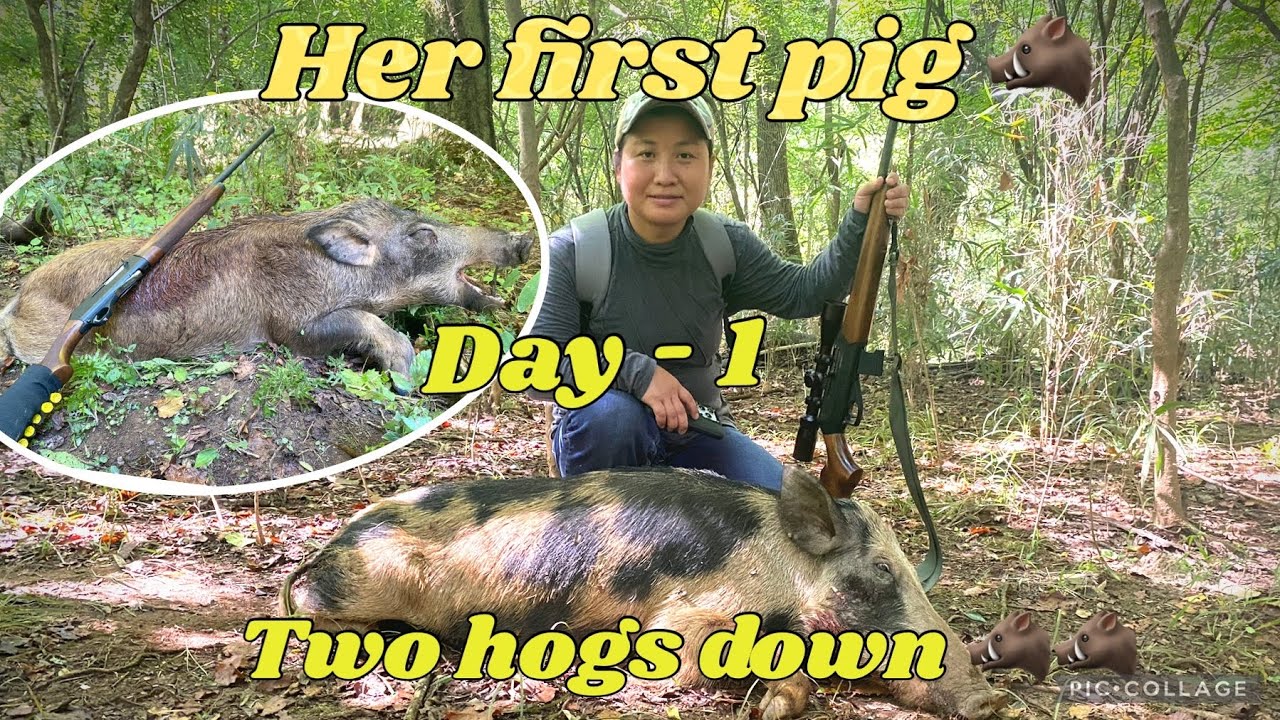 2 hogs down /// she got her first pig 🐗 small game season 2024-2025 - YouTube