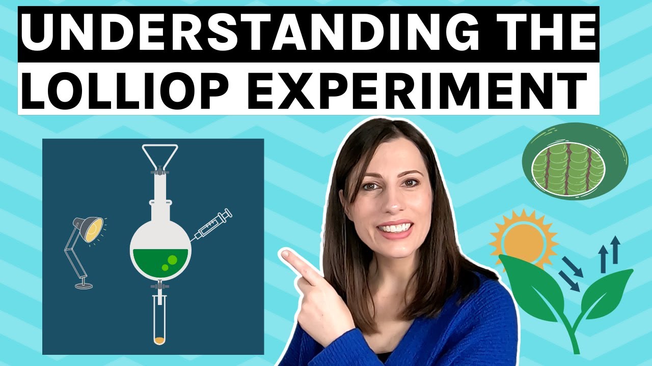 Calvin’s Apparatus - The Calvin Cycle (LIRs) in Photosynthesis ...