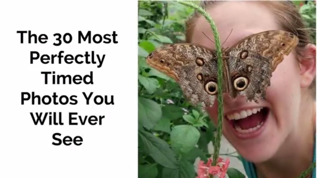 The 30 Most Perfectly Timed Photos - YouTube