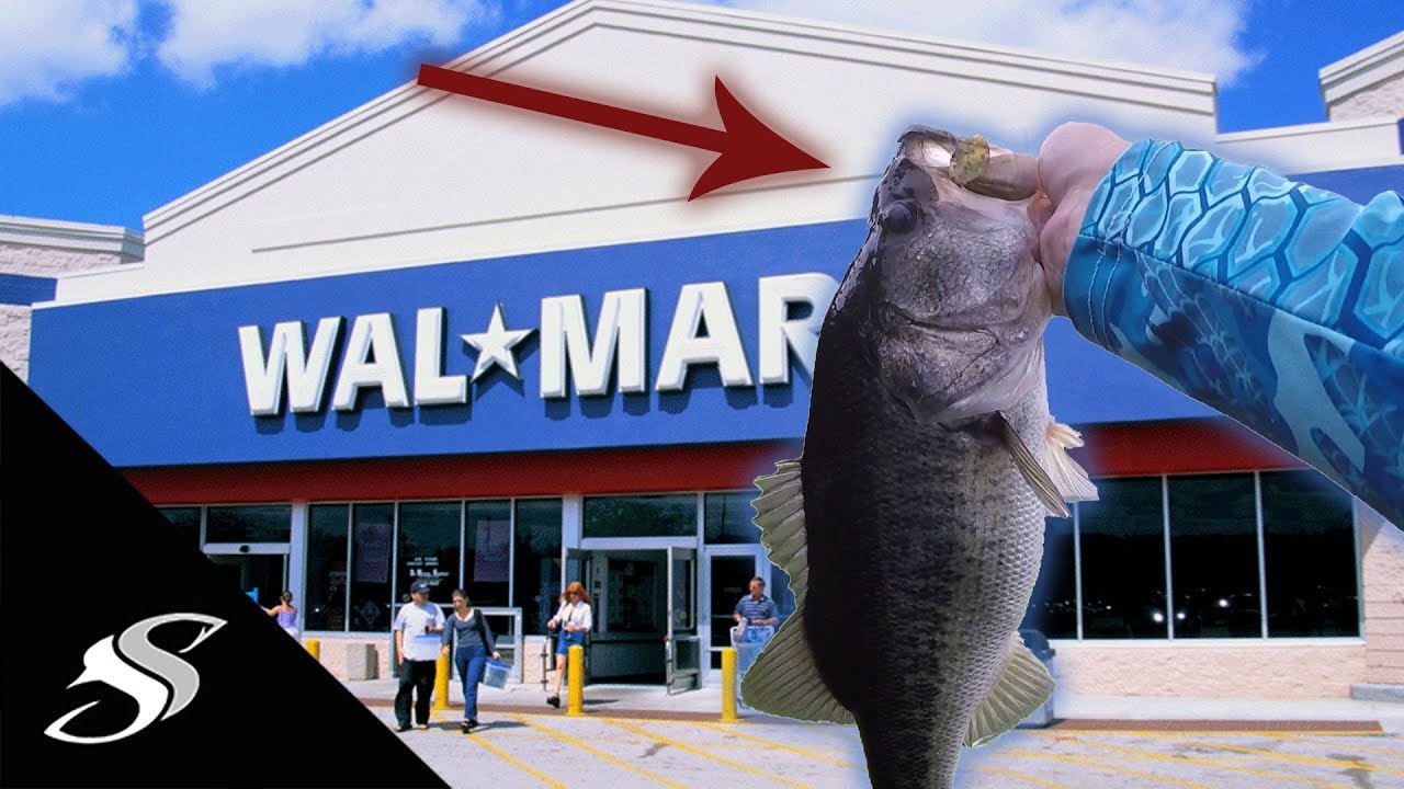Top THREE Walmart Lures - Walmart Fishing Challenge! - YouTube