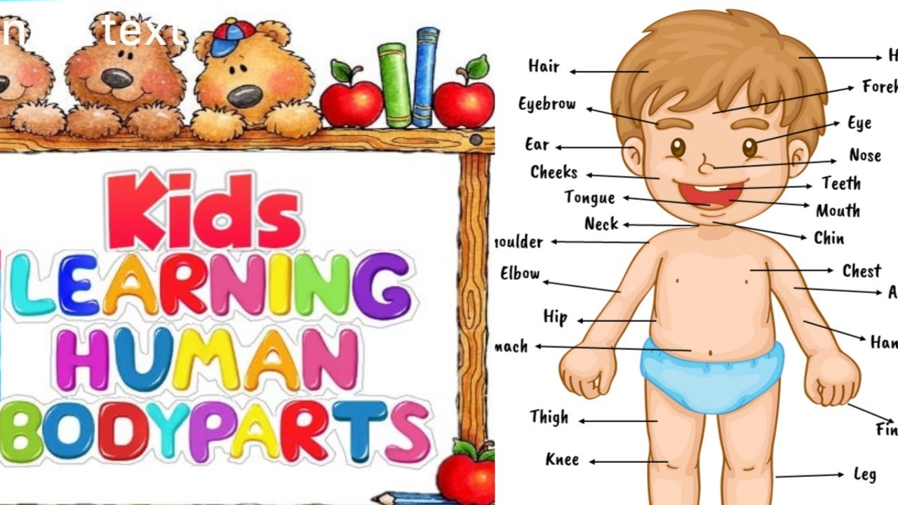 Rock 'N Learn//My Body Song+Nursery Rhyme & Kids Song//Learn Body Parts ...