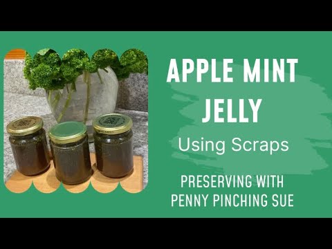 Use Your Apple Cores & Peelings to Make Delicious Mint Jelly - YouTube