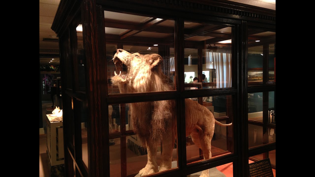 Mummies, Shrunken Heads and Winston Churchill's Lion - The Lightner ...