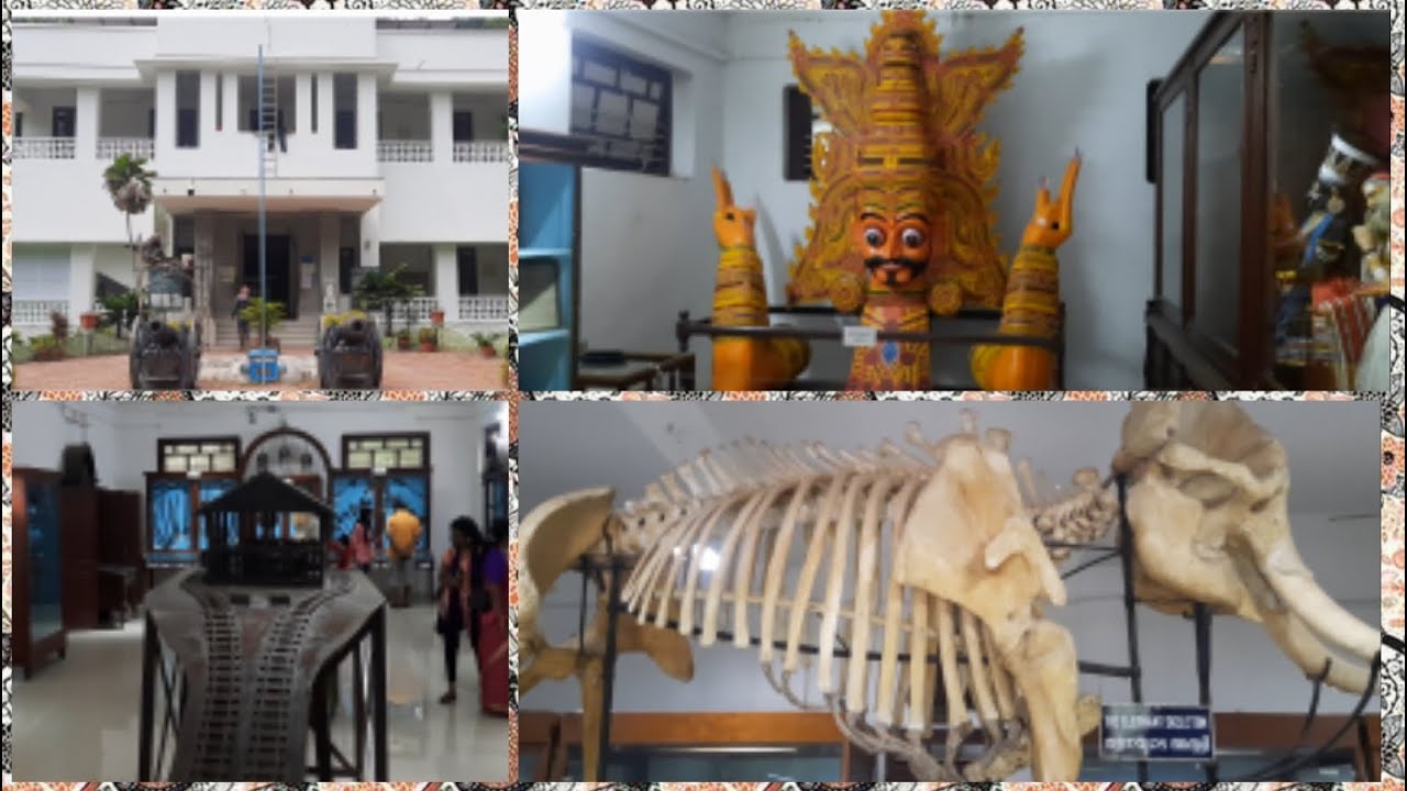 ഏഷ്യയിലെ ഏറ്റവും ഉയരം കൂടിയ ആനയുടെ അസ്ഥികൂടം |The skeleton of Asia's ...