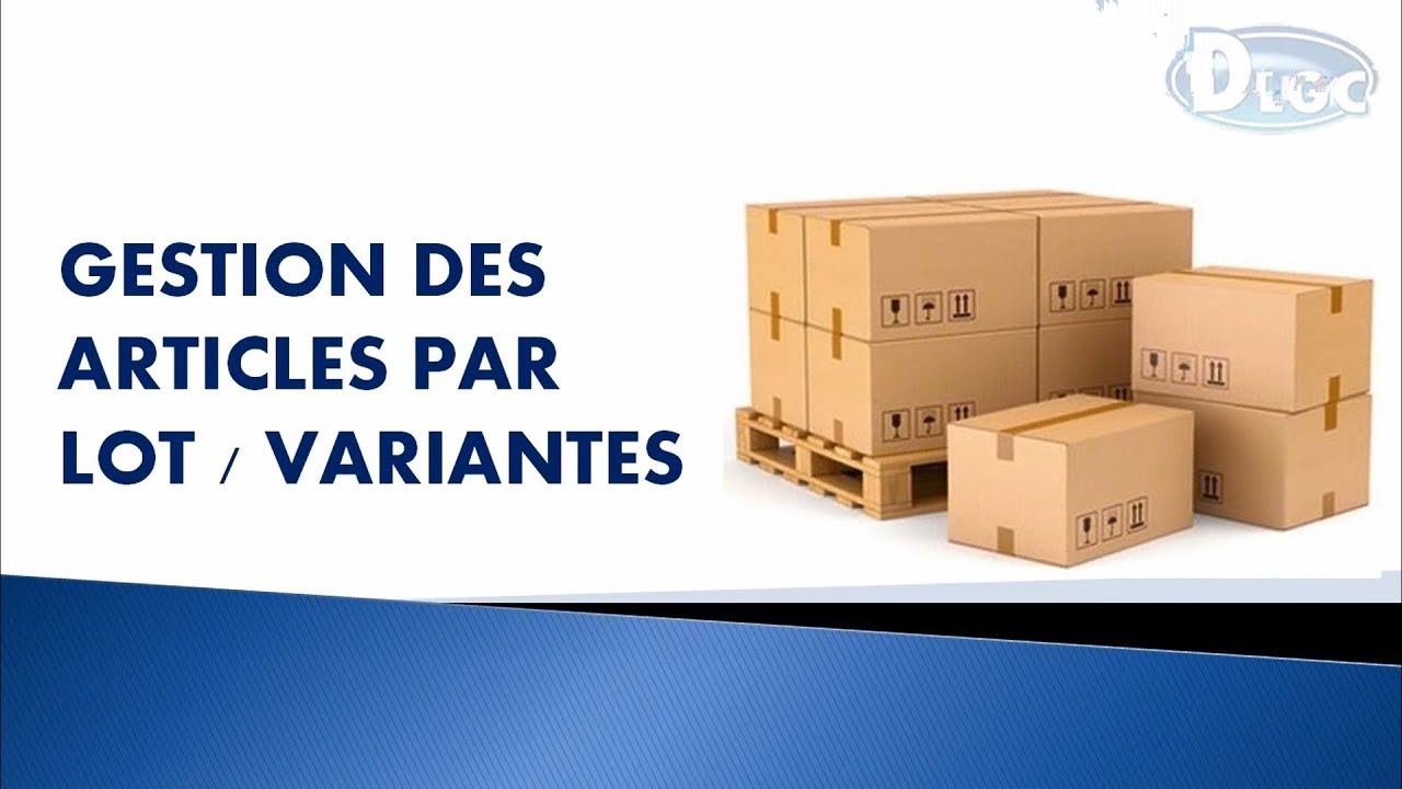 Gestion des Lots et Variantes - YouTube