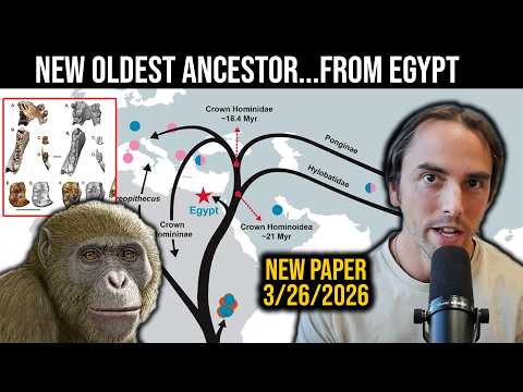 18 million year old Common Ancestor is from Egypt, not East Africa
