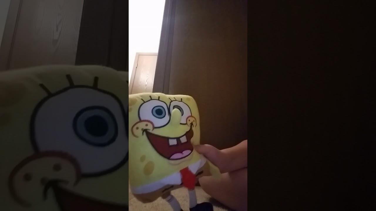 Meet Spongebob ( 30 subscriber special ) - YouTube