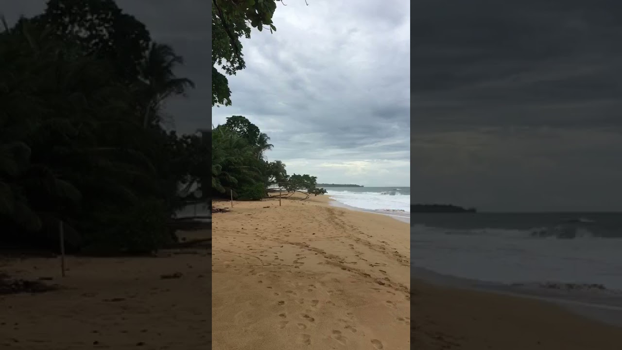 Playa Bluff 3. Bocas del Toro, Panamá - YouTube
