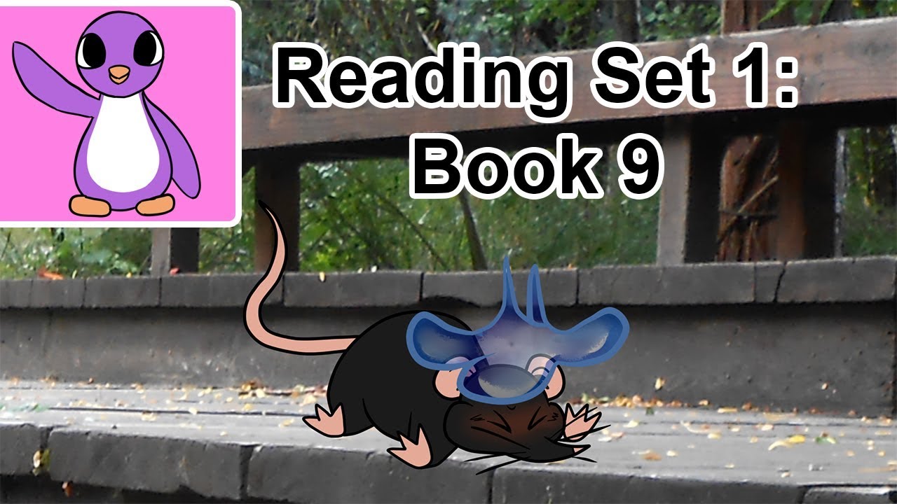 Beginning Reading Set 1: Book 9 - Bright New Day Productions - YouTube