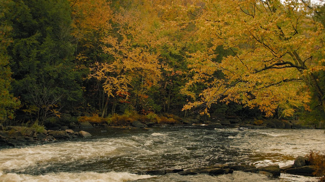 Rev. JR Roberts - YouTube