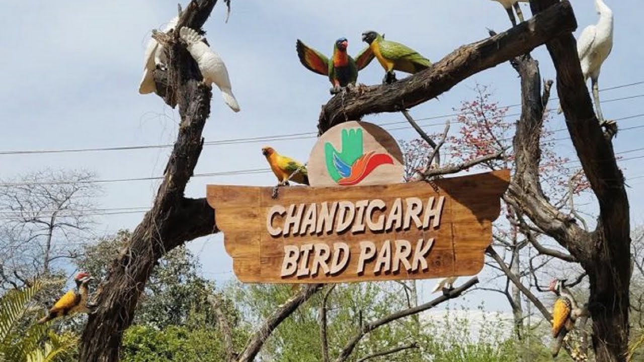 Birds Park Chandigarh ( बर्ड्स पार्क चंडीगढ़ ) | Birds Park Guide for ...
