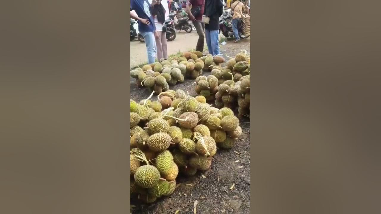 pasar buah paserpan pasuruan#buahdurian #durian #pasuruan #fyp #viralvideo - YouTube