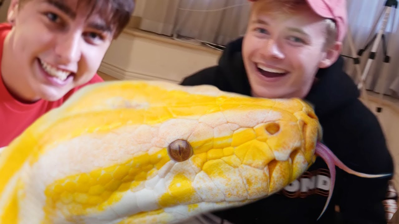 GETTING THEM OVER THEIR FEAR OF SNAKES w/ SAM and COLBY !! | BRIAN ...