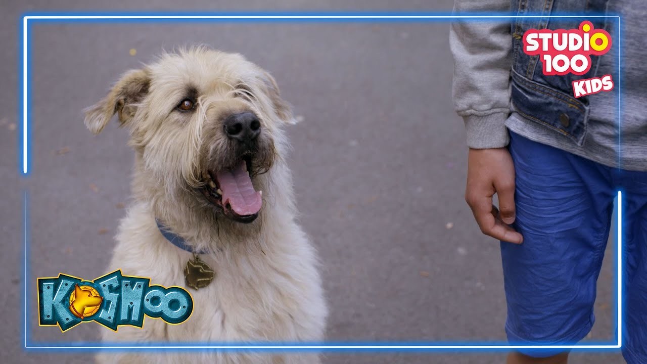 Kosmoo und der Fernsehstar🐶 - Kosmoo - Studio100 KIDS - YouTube