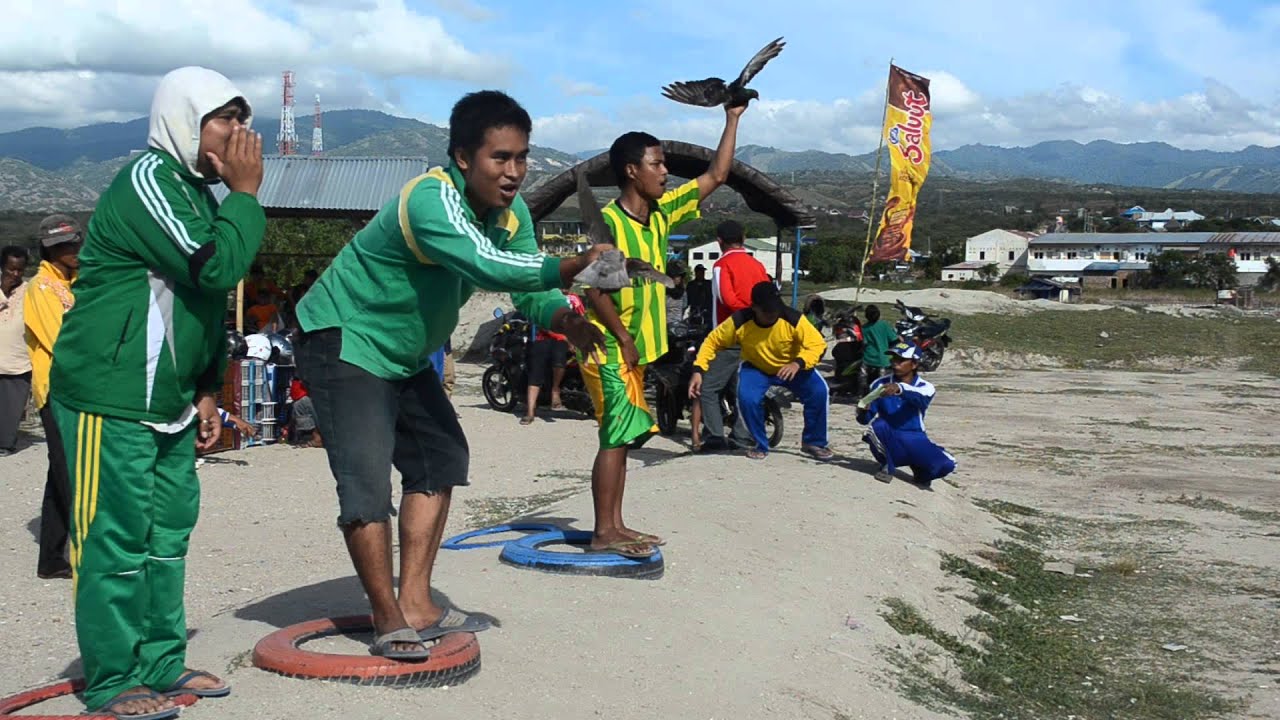 adu merpati paling hot di palu hadiah 10jt biaya pendaftaran 30rb ...