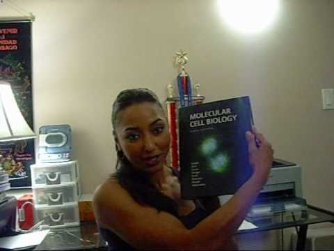 KAILASH PERSAUD - Bodybuilding.com 2011 BodySpace Spokesmodel Search ...