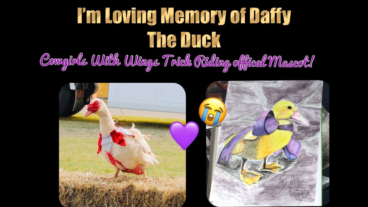 Daffy The Duck Cowgirls With Wings Trick Ridings Mascot Passed Away ...
